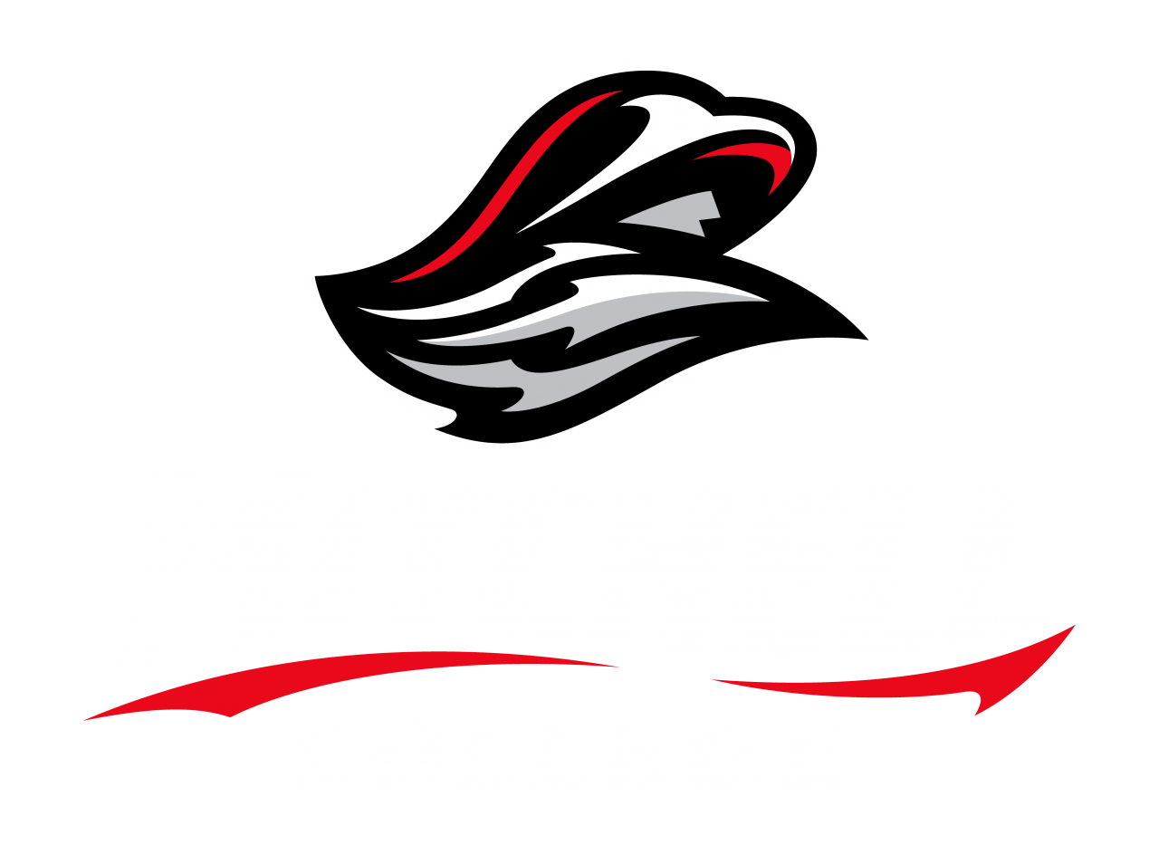 Mitchell College Athletics - NCAA Division III Champions